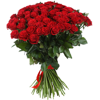 Send 150 Red Roses to Russia and Internationally