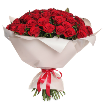 Send A Bouquet of 51 Red Grand Prix Roses to Russia and Internationally